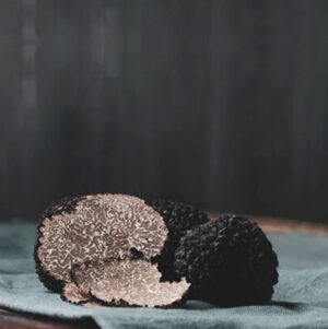 Buy Fresh Black Truffles | Order Périgord Truffles Online